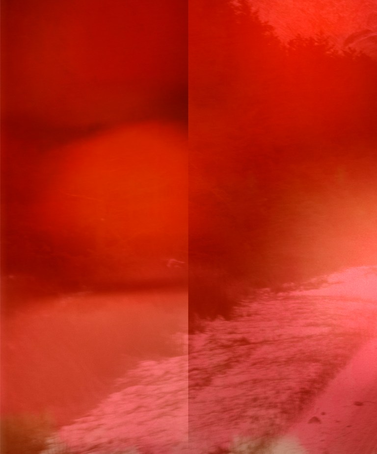 Altered Landscapes – Arrayah Loynd