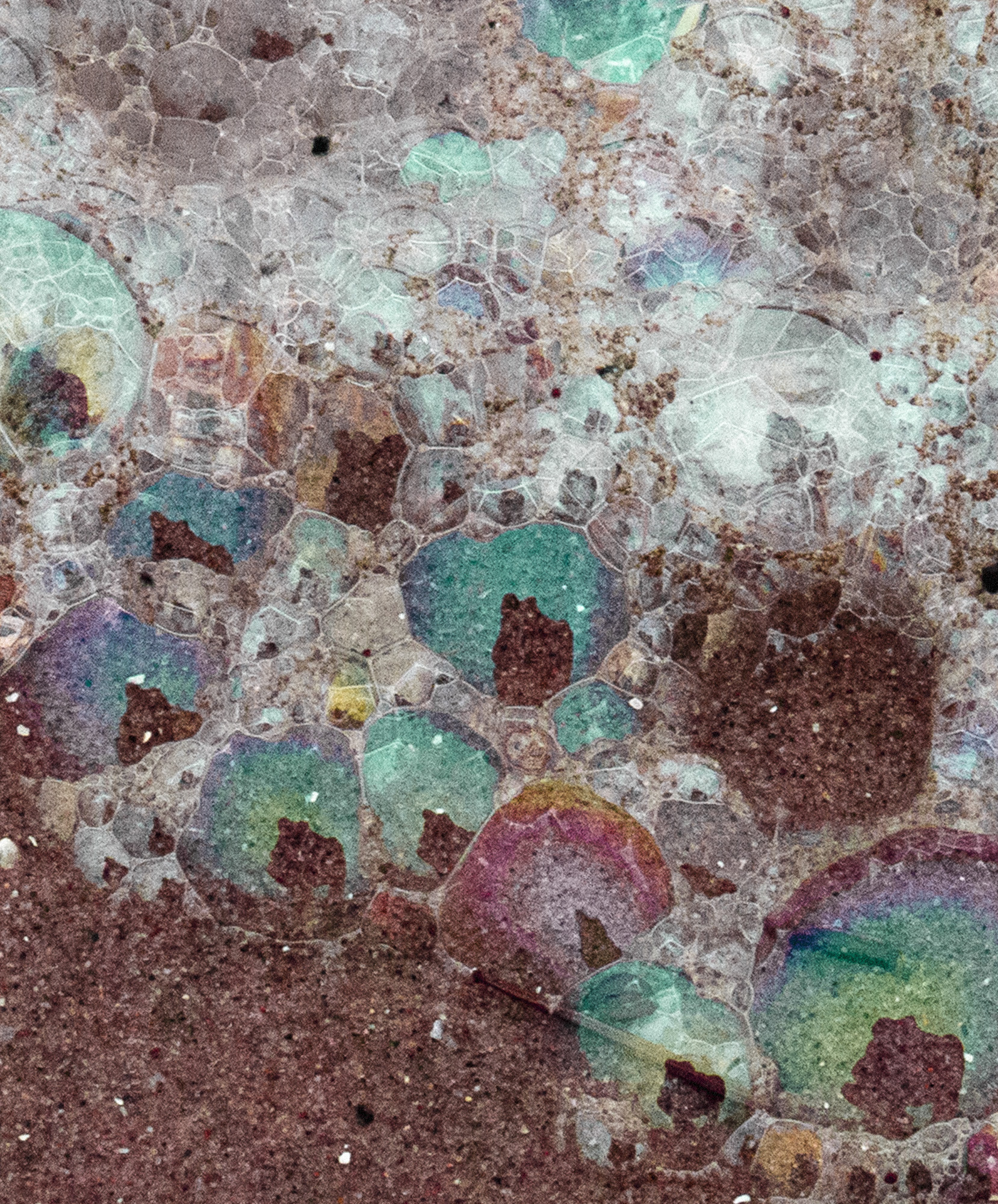 Altered Landscapes – Arrayah Loynd