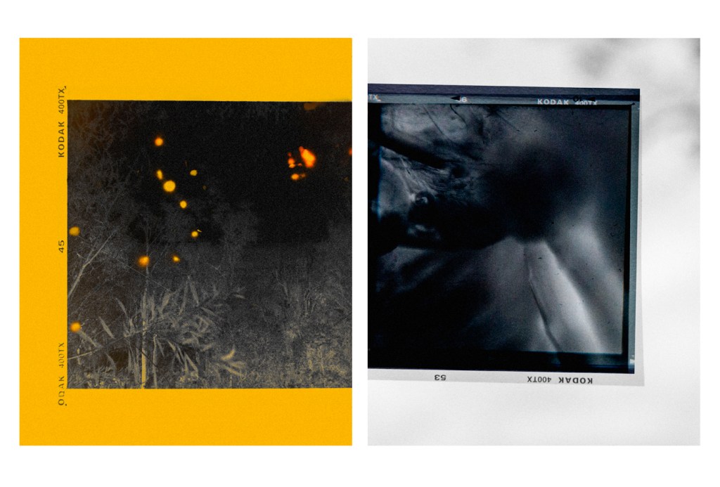 And then you were gone – Arrayah Loynd