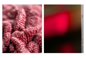 And then you were gone – Arrayah Loynd